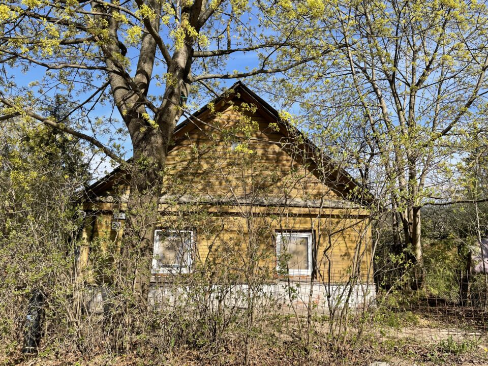 Jan Wedel czyli patent na domowe ptasie mleczko | Chatka Patki | Deser ...